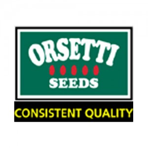 Orsette-Seeds – Santa Maria Seeds