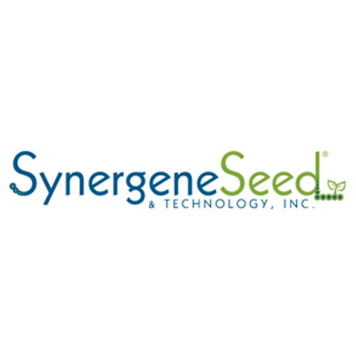 Synergene-Seed – Santa Maria Seeds
