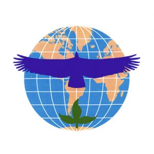 condor – Santa Maria Seeds