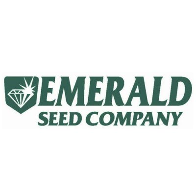 emerald-seed – Santa Maria Seeds